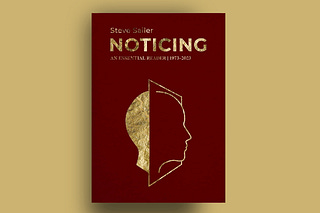 Steve Sailer | Substack