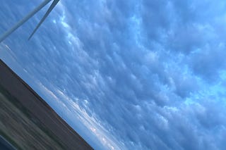 Gray's Voice | Connie Gray | Substack