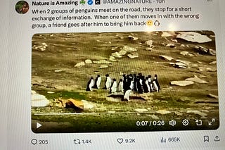 The Truth Barrier | Celia Farber | Substack