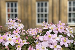 yarnstorm | Jane Brocket | Substack