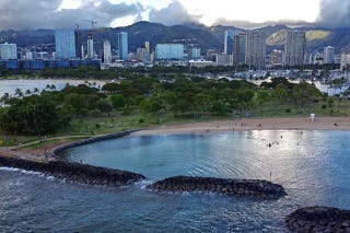 Brian’s Substack | Brian Sunter 🧠 | Substack