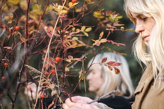 Salmon Sisters | Emma & Claire | Substack