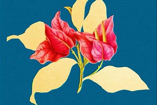 That Piece of Time | Laura Spence-Ash | Substack