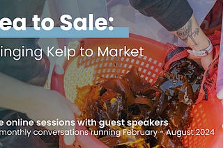 Macro Oceans News | Matthew Perkins | Substack