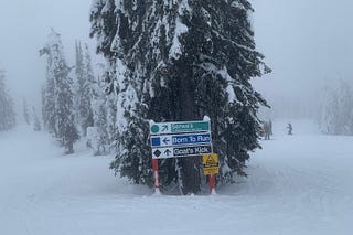 Not A Blog | Kendall | Substack