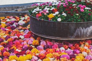 Good Tools | Robin Good | Substack