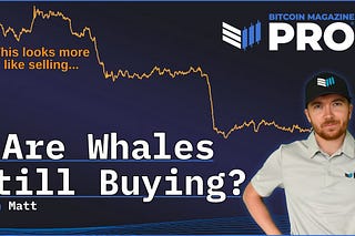 Bitcoin Magazine Pro | Substack