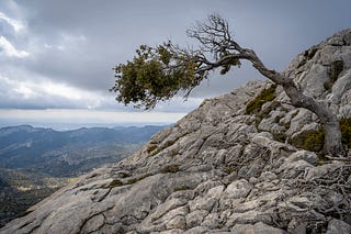 Never Stop Learning Martin Prior Substack