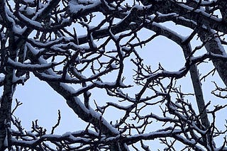 good spirits | Ava Hart | Substack