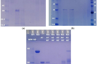WMC Research | Walter M Chesnut | Substack