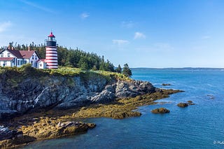 The BHR Group Digital Rights Careers Newsletter | Substack