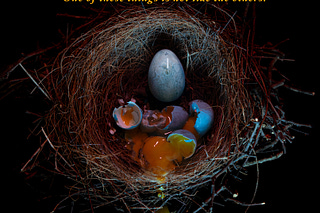 The Audacity. | Roxane Gay | Substack