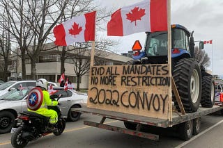 Liv’s Newsletter | Liv Agar | Substack