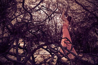 SARAH PROUT | Substack