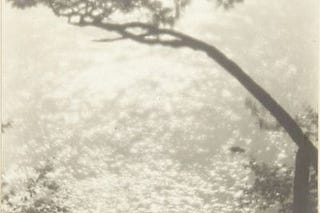 Practice Round | Preslea | Substack