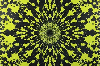 LE GROVE | Pedro | Substack