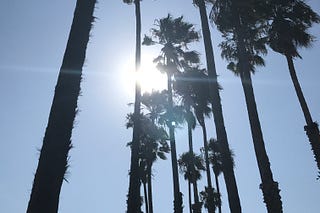 The Flair Index | Jennifer Alfano | Substack