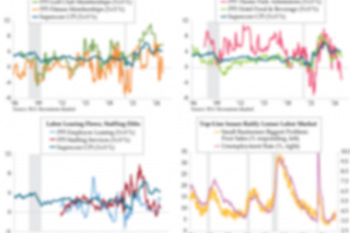 The Daily Feather | Danielle DiMartino Booth | Substack