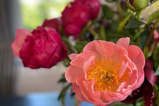 yarnstorm | Jane Brocket | Substack