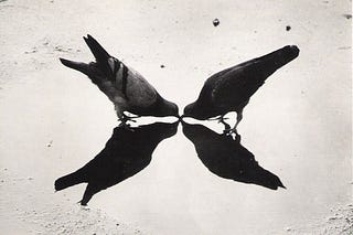 Ars Poetica | Substack