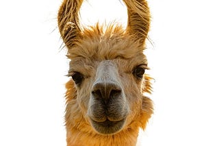 The Lactation College on Substack | Barbara L. Philipp, MD | Substack