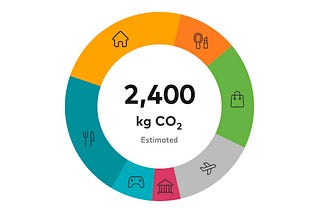 The System Newsletter | Ally Fortis | Substack