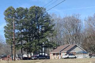 Earthbound Misfit | Dana Seilhan | Substack