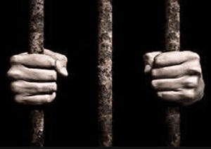 Jesus4Evers Newsletter | Dan Evers | Substack