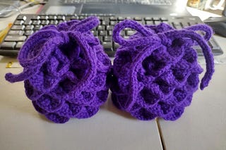 Earthbound Misfit | Dana Seilhan | Substack