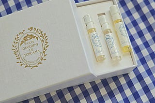 Leer por leer | Amaya Ascunce | Substack