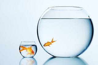 Optimally Irrational | Lionel Page | Substack