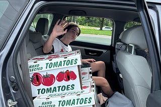 Preserving the South | April McGreger | Substack