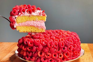 SCRAPS | Carolina Gelen | Substack