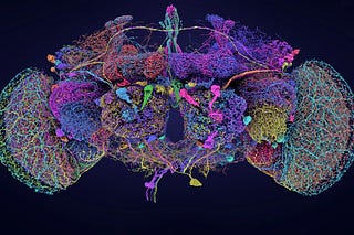 Scientific Horizons | Nicolas Hubacz | Substack
