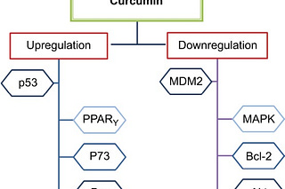 WMC Research | Walter M Chesnut | Substack