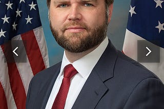 Steve’s Substack | The Dissident Voice | Substack