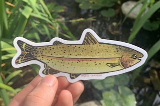 Archive - august campbell monthly