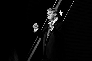 Democracy Americana | Thomas Zimmer | Substack