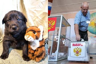 Edward Slavsquat | Substack