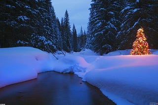 Slack Tide by Matt Labash | Substack