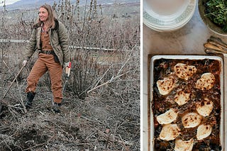 Cultivating The Beautiful Life | Shaye Elliott | Substack