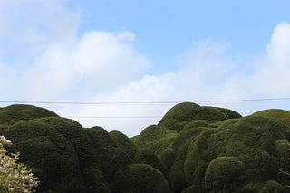 Nina Power | Substack