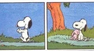 Kyla’s Newsletter | kyla scanlon | Substack