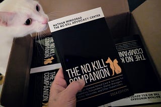 No Kill Sheltering | The No Kill Advocacy Center | Substack