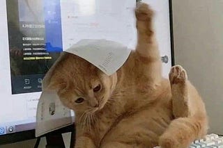 Deploy na Sexta | Giulia Bordignon | Substack