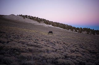 diglloyd | Lloyd Chambers | Substack