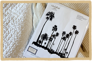 Scratch Pad by The Stripe | Grace Atwood | Substack