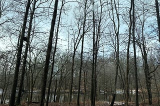 William Lobb's Blog, Newsletter and General Tomfoolery | Substack