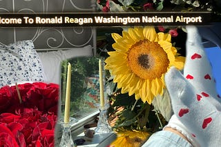 every diary needs a writer | celia | Substack