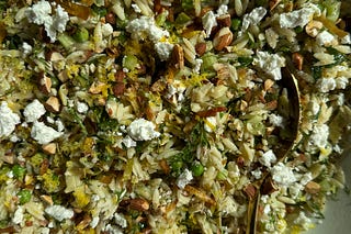 This Shit Rocks | Sara Tane | Substack